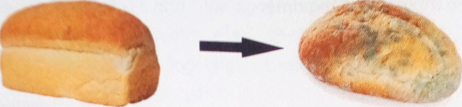 Science And Industry – Kinder Paradise